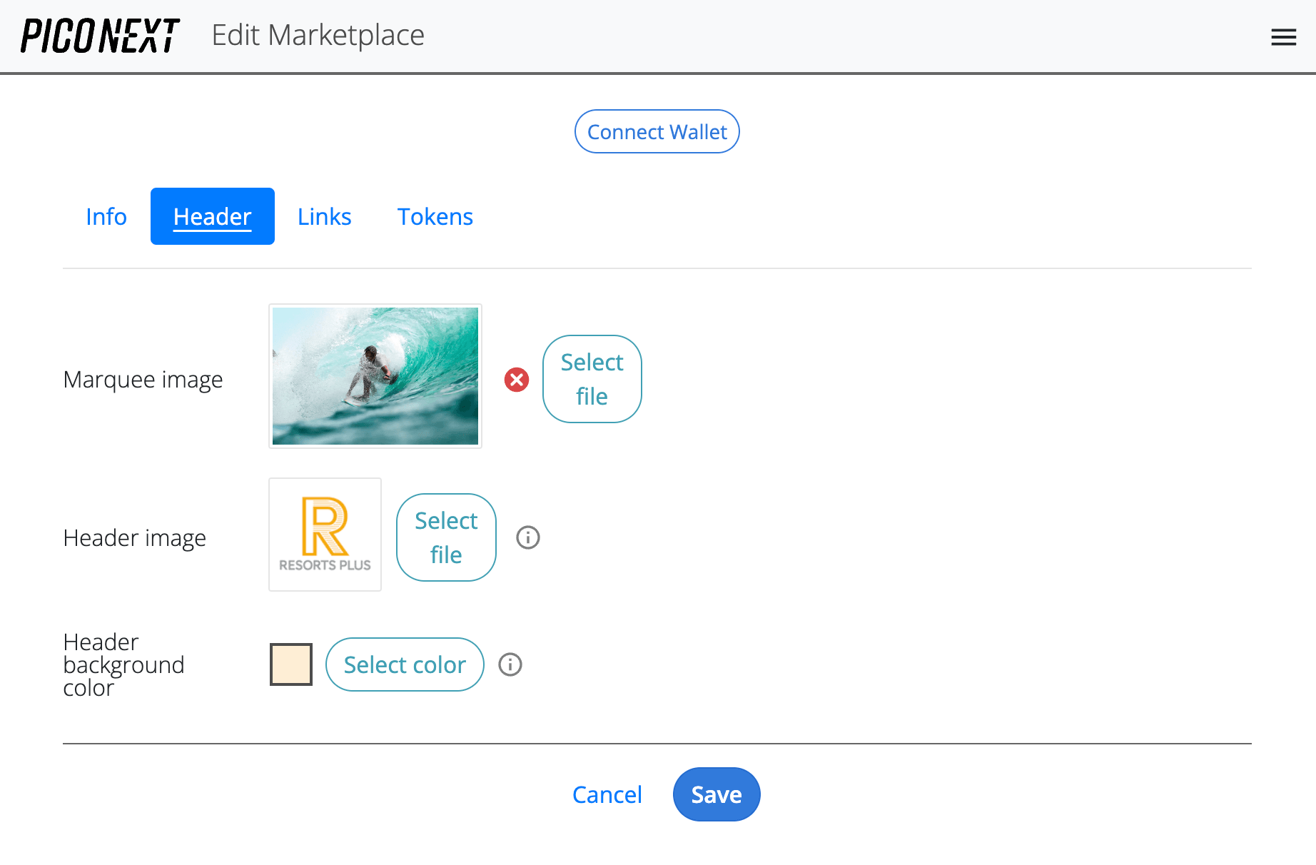 Create a branded marketplace - PicoNext
